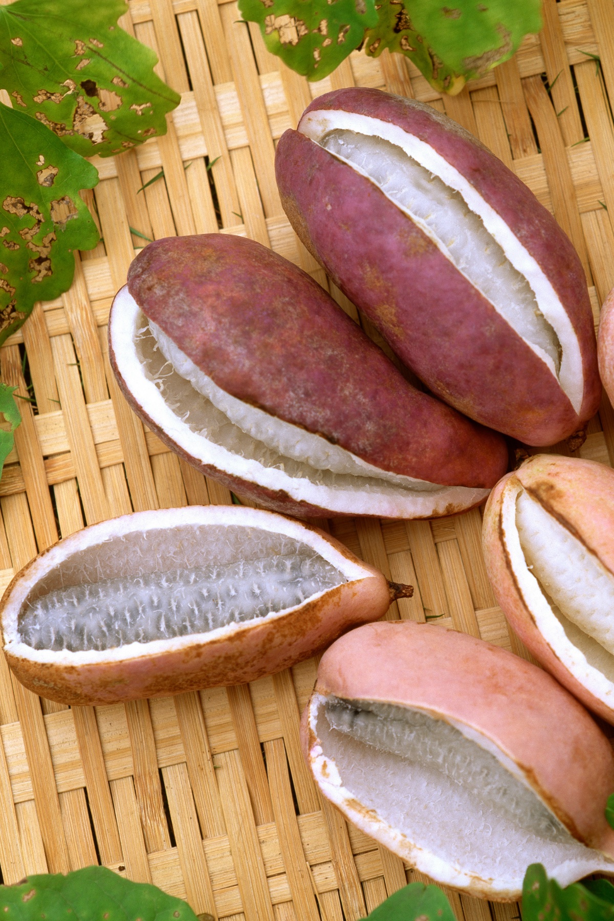 34 Exotic Fruits: Names and Pictures - TipBuzz