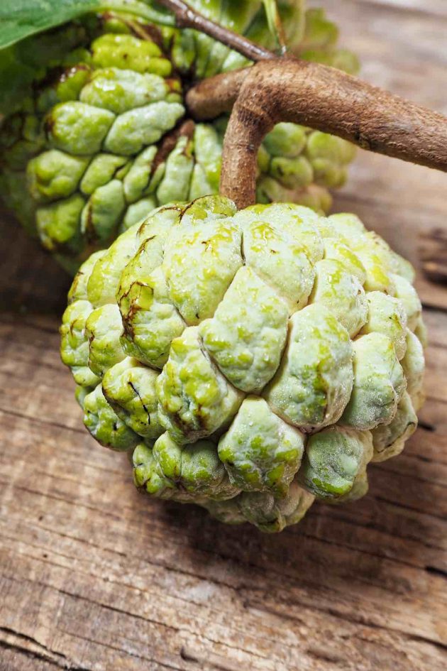 Sugar Apple (Custard Apple / Sweet Sop / Atis Fruit) - TipBuzz